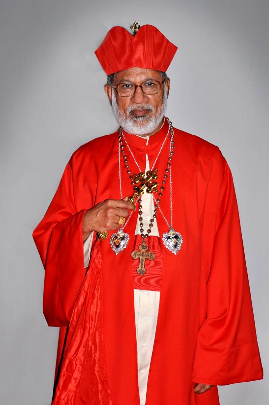 Kerala Land Investigation Panel Recommends Action Against Cardinal ...